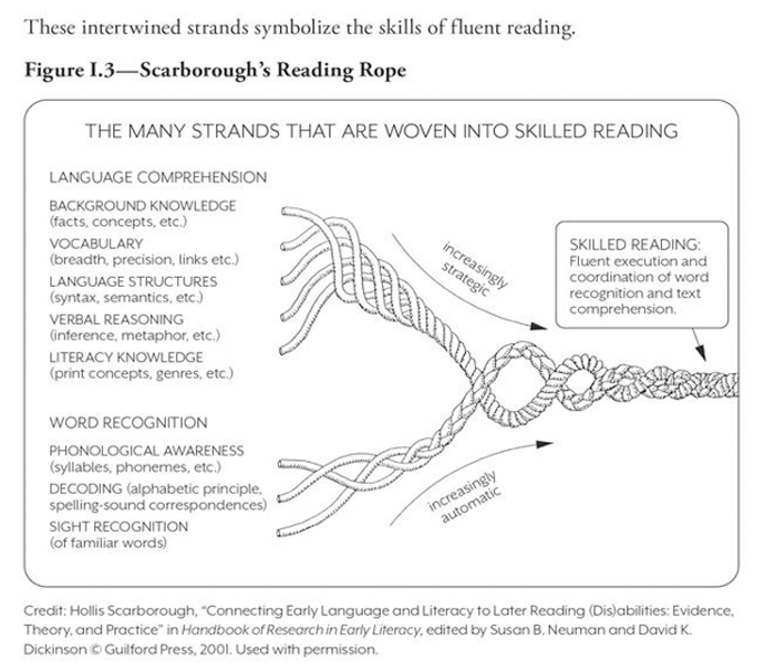 3 Simple Considerations to Align Instruction to the Science of Reading